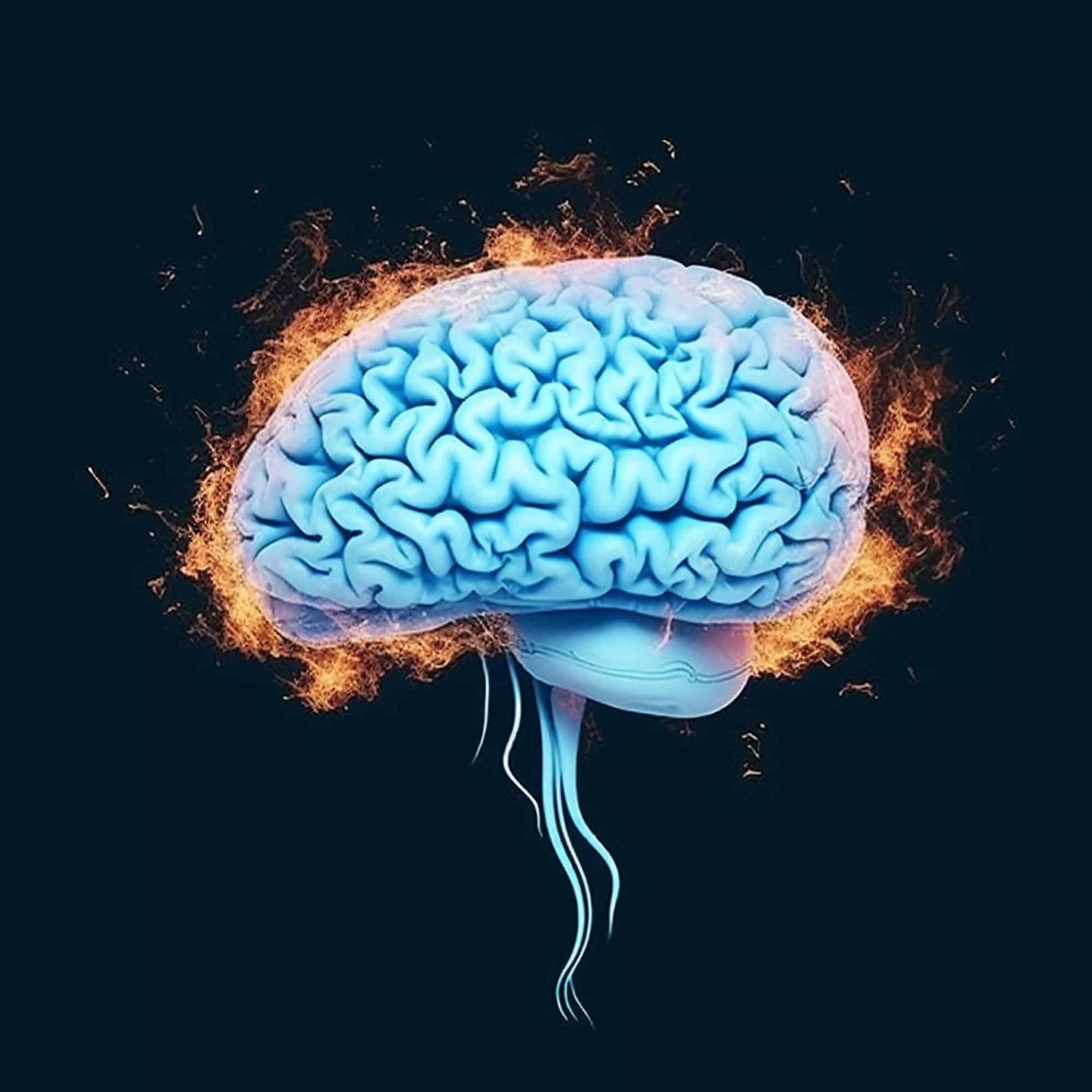 How Grains and Inflammation Silently Affect Your Brain